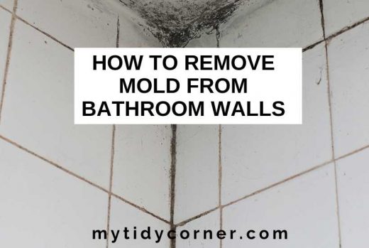 How to Remove Mold from Bathroom Walls - 6 Cleaning Tips!