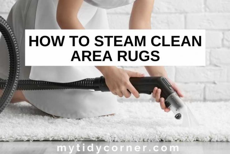 How to Steam Clean Area Rugs - DIY Step-by-Step Guide