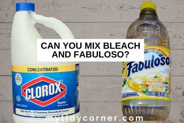 Bleach And Fabuloso Mix