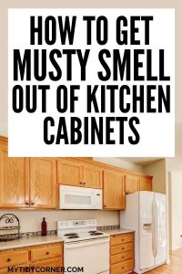 Musty Smell in Kitchen Cabinets (Cupboards): Causes & Solutions
