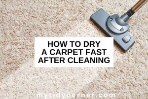 How to Dry a Carpet Fast after Cleaning - 8 Quick Drying Tips