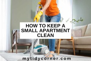How to Keep a Small Apartment Clean