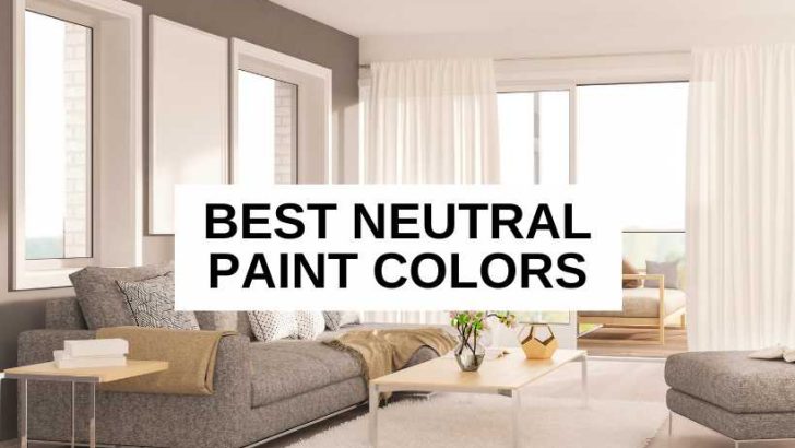 11 Best Neutral Paint Colors for a Living Room
