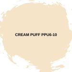 12 Popular Cream Paint Colors for Walls