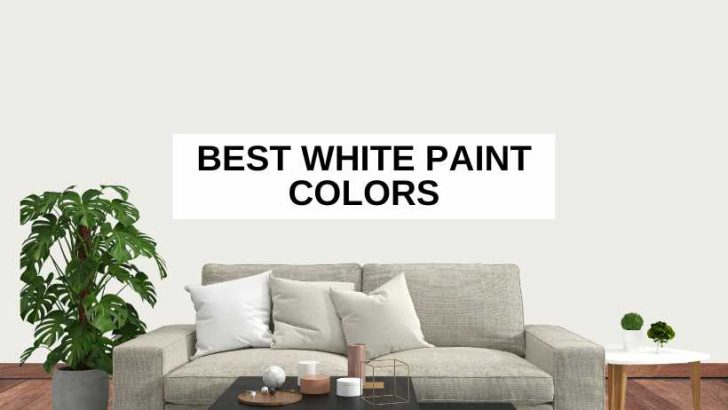 12 Best Blush Paint Colors for a Cozy Atmosphere