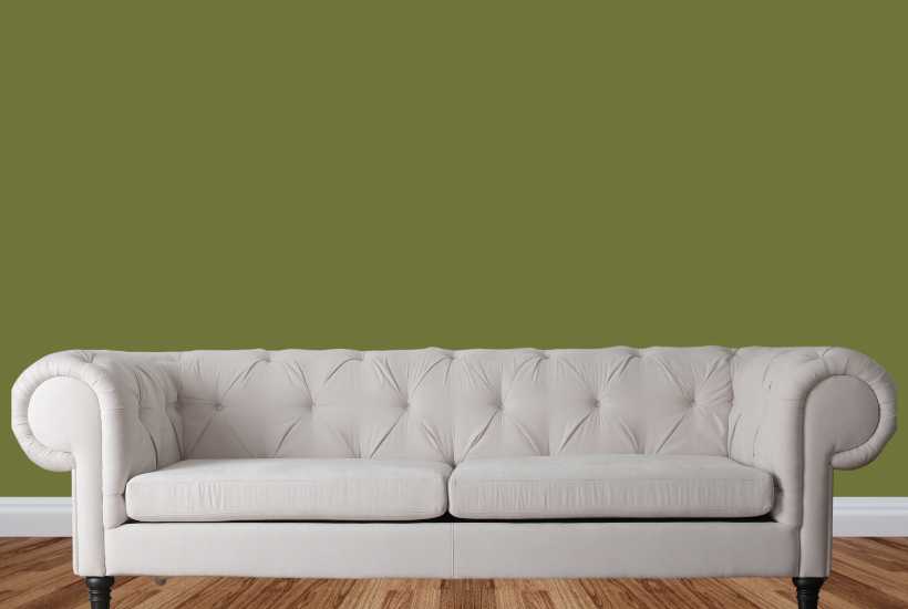 11 Best Benjamin Moore Green Paint Colors to Refresh Your Space