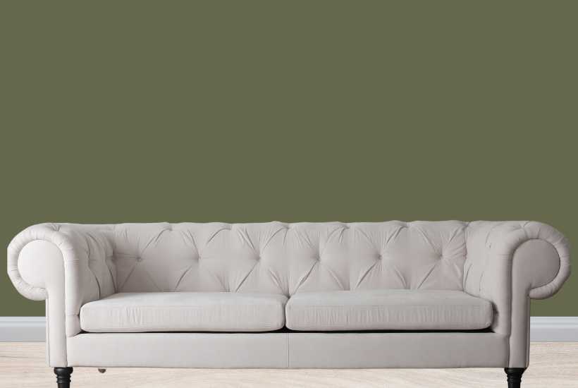 12 Best Sherwin Williams Green Paint Colors for Your Home