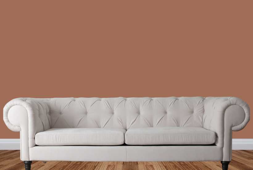 Top 12 Earth Tone Paint Colors for a Cozy and Natural Home