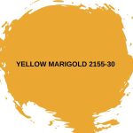 Top 12 Yellow Paint Colors for a Sunny, Vibrant Space