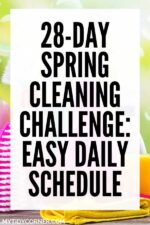 28 Day Spring Cleaning Challenge - Daily Schedule